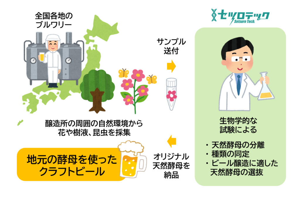 醸（かも）すやつらが変わるかも！ 自然環境からの「ビール酵母スクリーニングサービス」を新発売 | J-GoodTech Headline