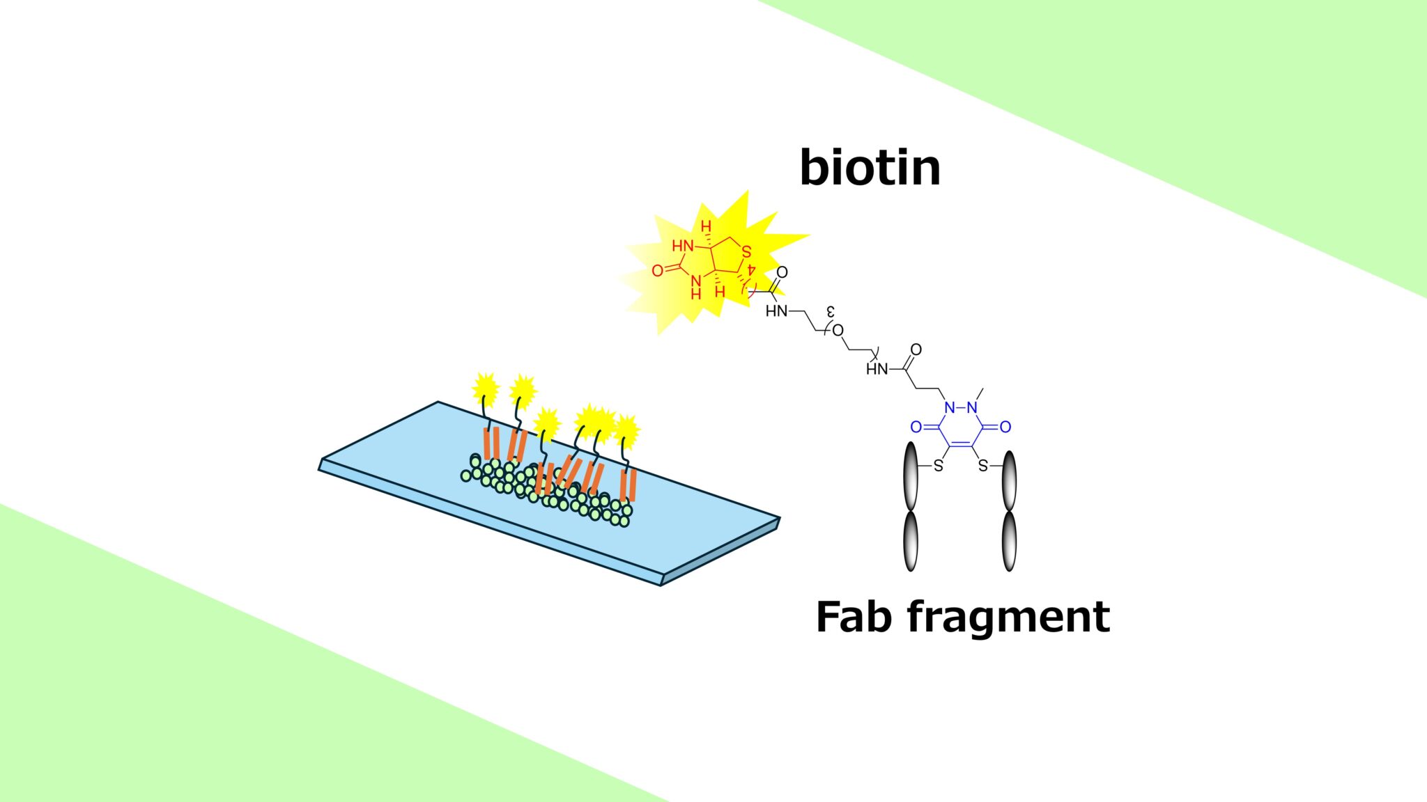 【プレ公示】2025年度 JICA「中小企業・SDGsビジネス支援事業（JICA Biz）」の公示に向けたご案内 | J-GoodTech Headline
